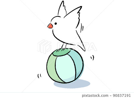 Java sparrow playing with toys - Stock Illustration [90837191] - PIXTA