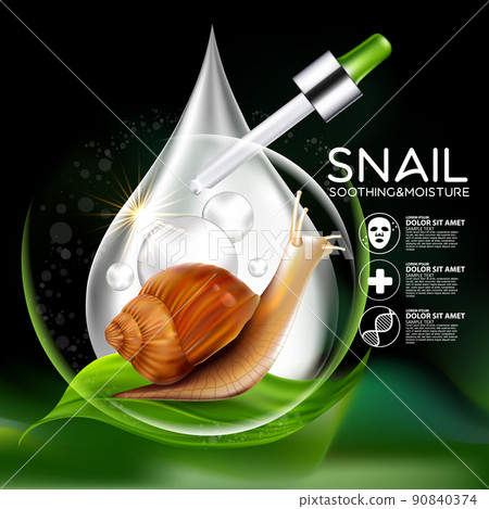 Snail Serum Cosmetic for Skin. - Stock Illustration [90840374] - PIXTA