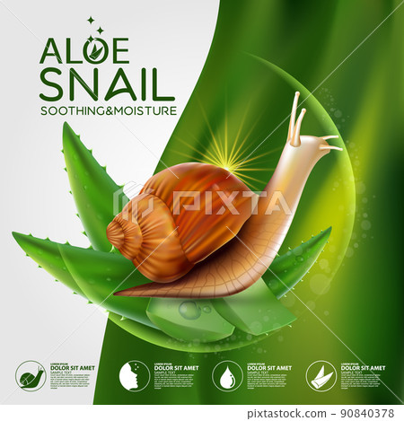 Snail Serum Cosmetic for Skin. - Stock Illustration [90840378] - PIXTA