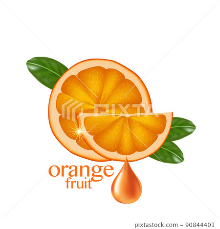 fresh orange vector - Stock Illustration [90844401] - PIXTA