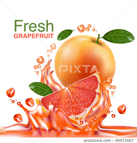 fresh grapefruit vector - Stock Illustration [90915667] - PIXTA