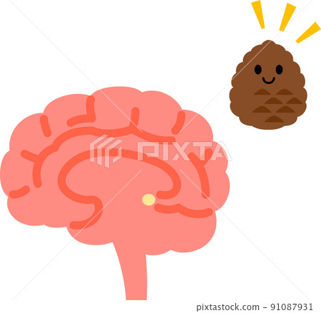 Pineal gland character - Stock Illustration [91087931] - PIXTA
