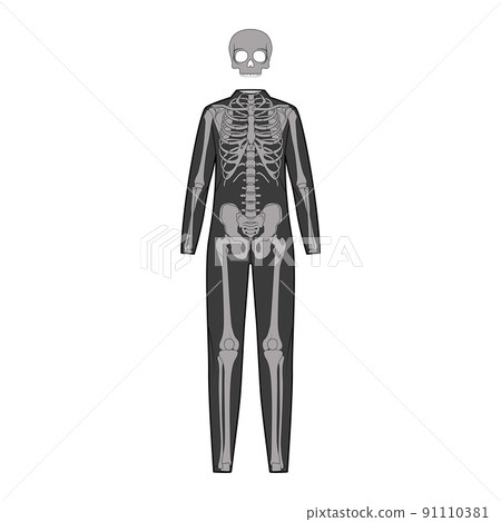 Skeleton costume with scull Human bones front... - Stock Illustration ...