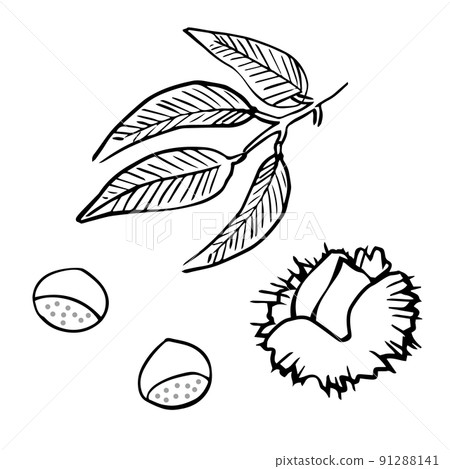 Simple line art illustration of Igaguri and... - Stock Illustration ...