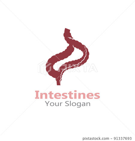 Intestine human Logo Collections digestion... - Stock Illustration ...