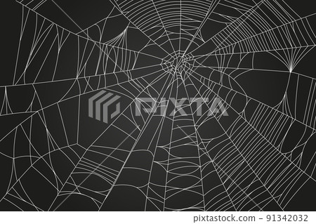 Spider web parts isolated on black background.... - Stock Illustration ...