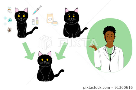 A set of lean white cats, ordinary white cats,... - Stock Illustration ...