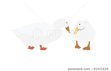 Duck to say hello - Stock Illustration [91431634] - PIXTA