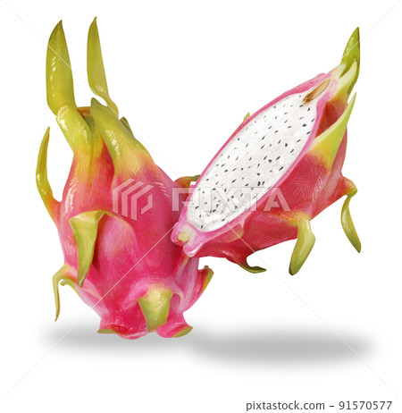 Real illustration of dragon fruit 4 with shadow - Stock Illustration ...