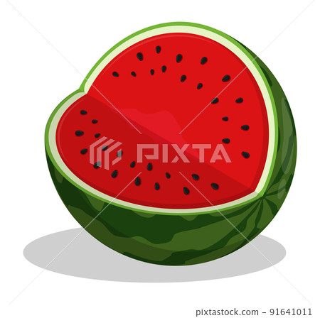 Ripe watermelon cut in half. Autumn harvest of... - Stock Illustration ...