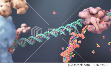 The genetic structure of 3D animated DNA - Stock Illustration [91679882 ...