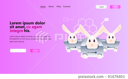 experimental rabbits biological genetic... - Stock Illustration ...
