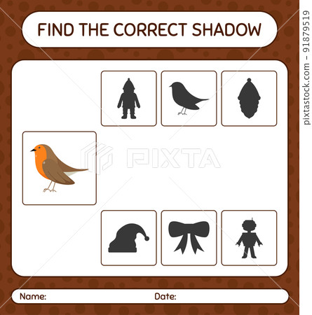 Find the correct shadows game with robin bird.... - Stock Illustration ...