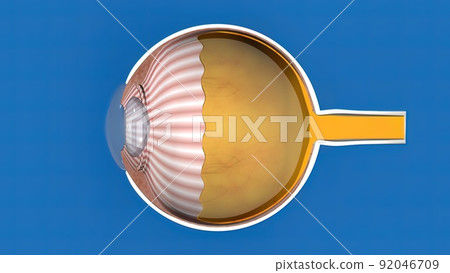 3D medical eye anatomy - Stock Illustration [92046709] - PIXTA