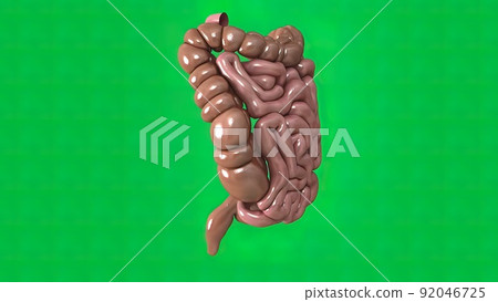 The green background digestive system - Stock Illustration [92046725 ...