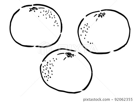 Simple illustration, line drawing, oranges,... - Stock Illustration ...