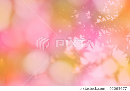 Autumn-colored sunbeams, silhouette of autumn... - Stock Illustration ...