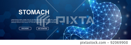 Stomach polygonal horizontal banner. Digestive... - Stock Illustration ...