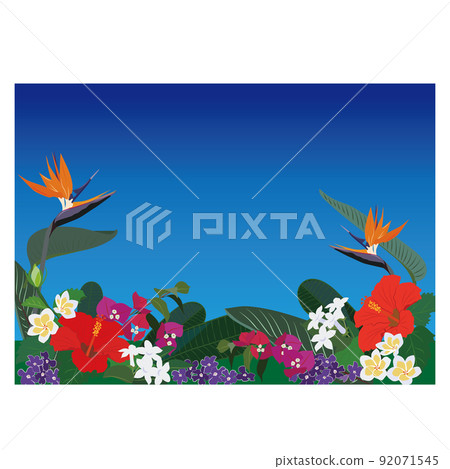 Tropical flowers landscape illustration... - Stock Illustration ...