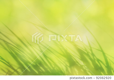 Autumn-colored sunbeams, silhouette of... - Stock Illustration ...