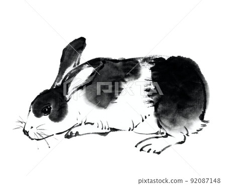 Black and white rabbit drawn with ink painting... - Stock Illustration ...