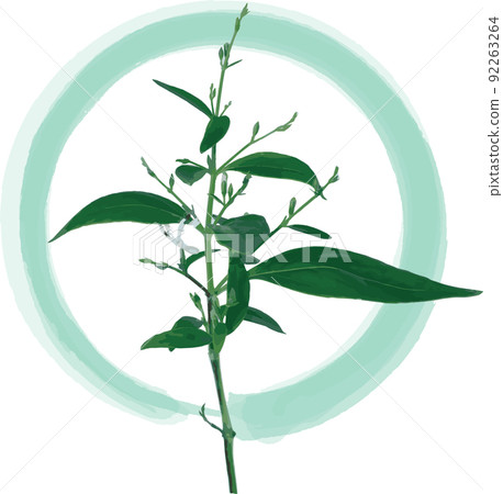 Abstract of Kariyat leaves or The Creat plant... - Stock Illustration ...