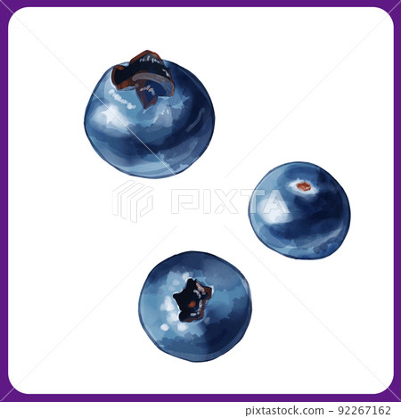 手繪水彩藍莓圖 02-插圖素材 [92267162] - PIXTA圖庫