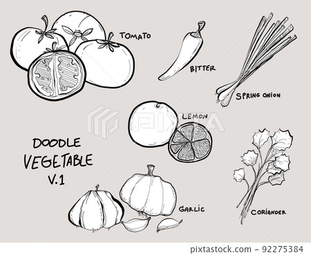 Collection of hand drawn vegetables,... - Stock Illustration [92275384 ...