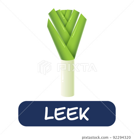Leek Vegetable Cartoon
