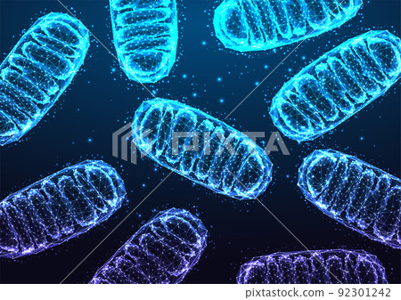 Mitochondria under microscope on dark blue...-插圖素材 [92301242] - PIXTA圖庫