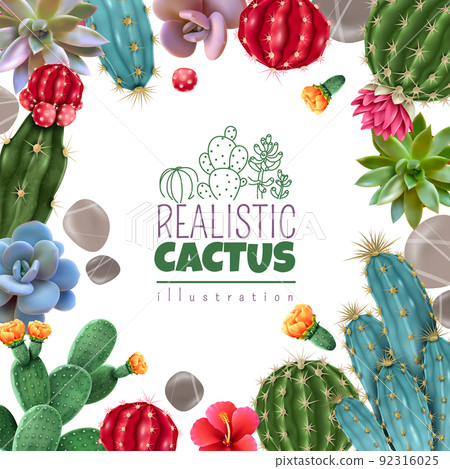 Cactus Succulents Realistic Frame - Stock Illustration [92316025] - PIXTA