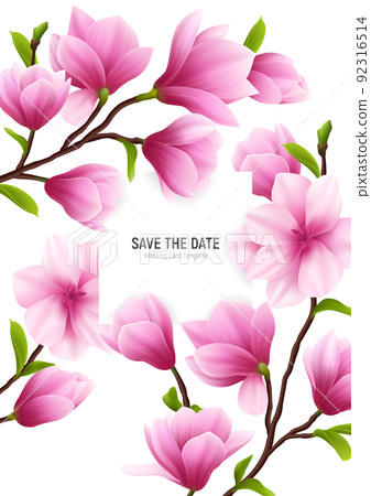Realistic Magnolia Flower Frame - Stock Illustration [92316514] - PIXTA