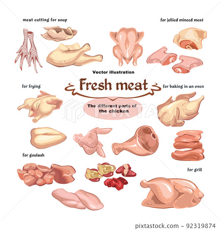 Colored Sketch Chicken Meat Parts Set - Stock Illustration [92319874 ...