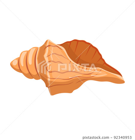 shell sea cartoon vector - Stock Illustration [92340953] - PIXTA