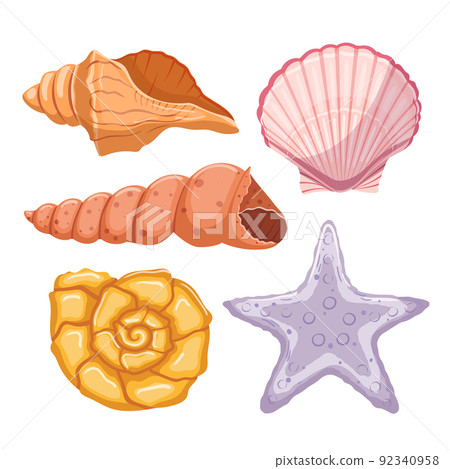 shell sea set cartoon vector - Stock Illustration [92340958] - PIXTA