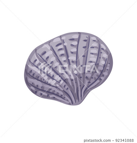 beach sea shell cartoon vector illustration - Stock Illustration ...