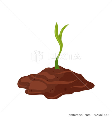 plant growth cartoon vector illustration - Stock Illustration [92381648 ...