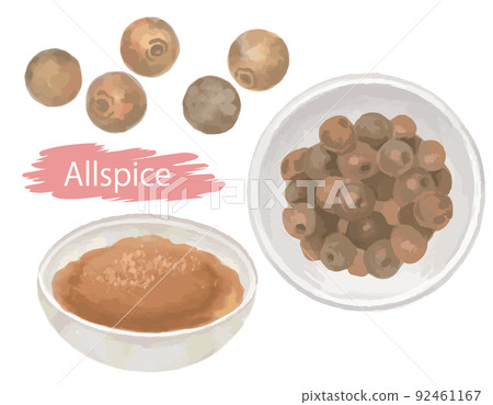 Watercolor style, all spices (hole, powder).... - Stock Illustration ...