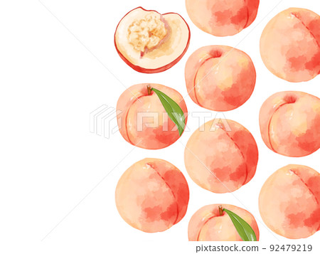 Hand drawn watercolor peach illustration... - Stock Illustration ...
