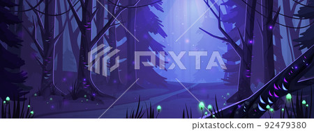Night forest landscape with trees and road, vector - Stock Illustration ...