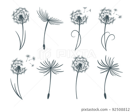 Set of drawn dandelions with flying fluff. Line... - Stock Illustration ...