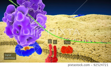 Ribosomal DNA (rDNA) is a DNA sequence that... - Stock Illustration ...