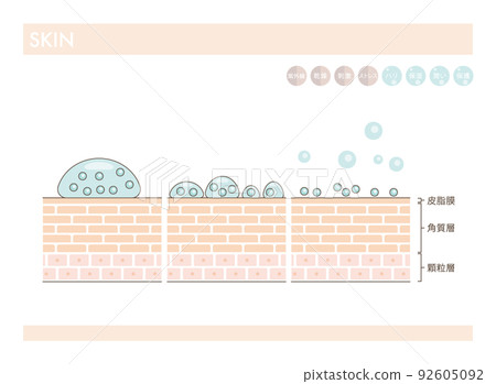 Effects of skin care and cosmetic skin care - Stock Illustration ...