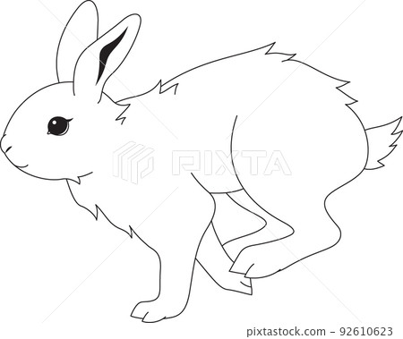 White rabbit running monochrome - Stock Illustration [92610623] - PIXTA