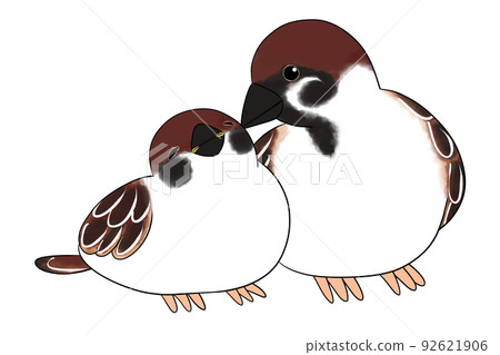 Sparrow parent and child - Stock Illustration [92621906] - PIXTA