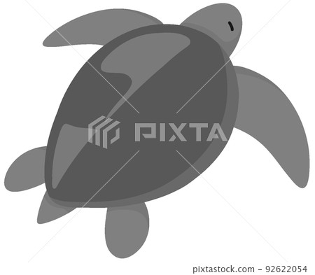 Crow sea turtle - Stock Illustration [92622054] - PIXTA