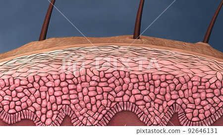 The attack of airborne bacteria on the skin... - Stock Illustration ...