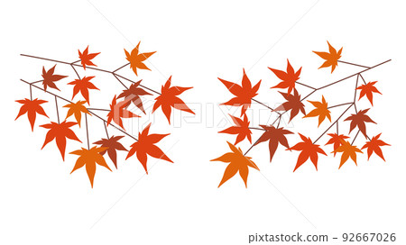 Illustration of two types of autumn leaves - Stock Illustration ...