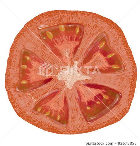 Tomato slice _ square - Stock Illustration [92675855] - PIXTA