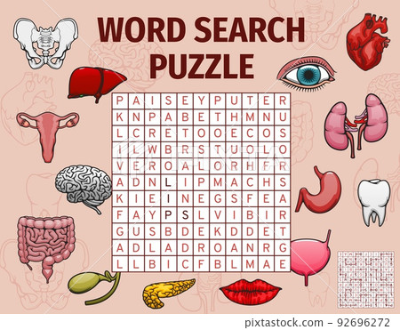 Human organs, body parts word search puzzle... - Stock Illustration ...
